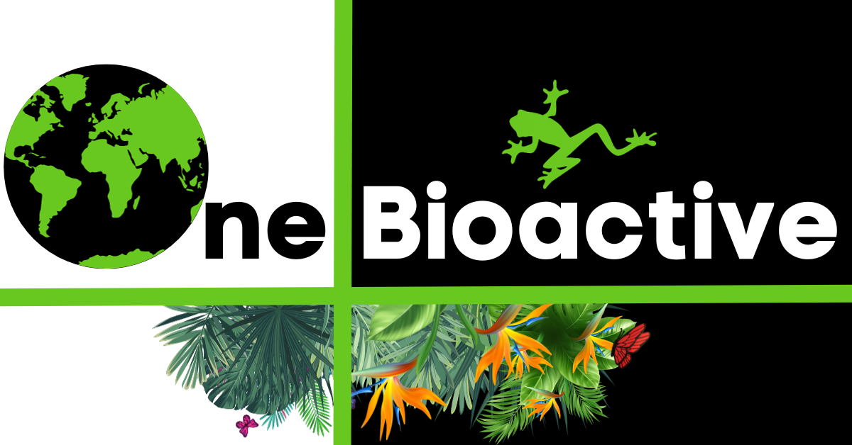 The Ultimate Guide to Building a Bioactive Terrarium | One Bioactive