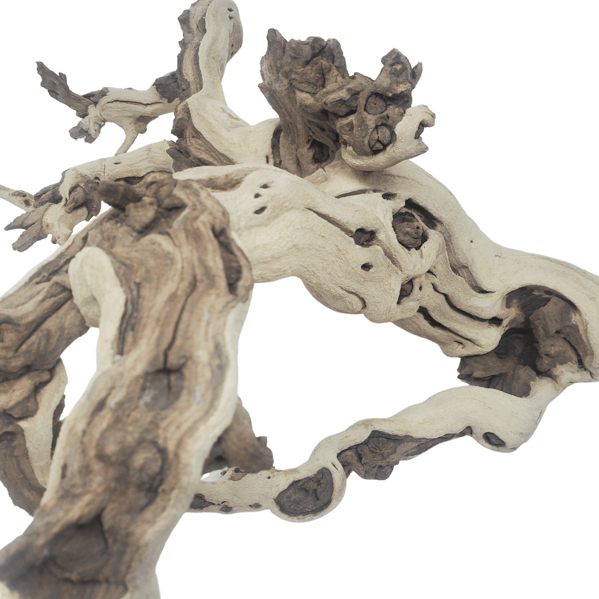 Unveiling the Beauty and Benefits of Sandblasted Grape Wood in Your Te ...