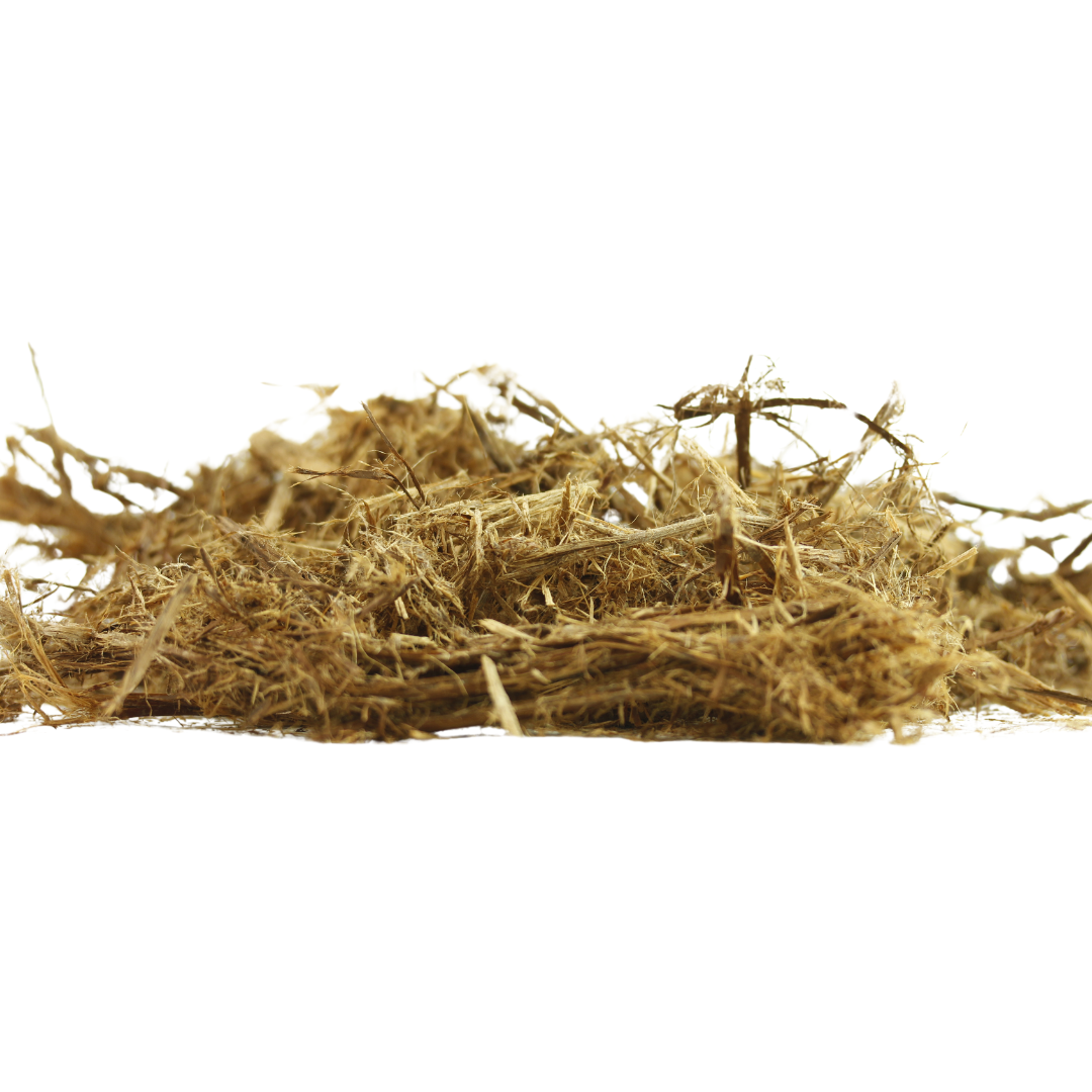 Cypress Substrate | One Bioactive Terrarium & Aquarium Supply Experts