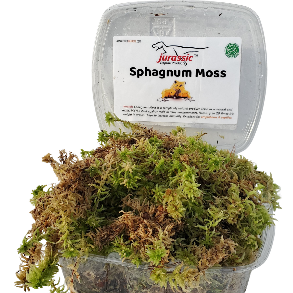 Fresh Sphagnum Moss | One Bioactive Terrarium & Aquarium Supply Experts