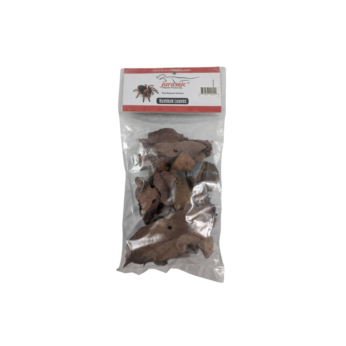 Kumbuk Leaves | One Bioactive Terrarium & Aquarium Supply Experts