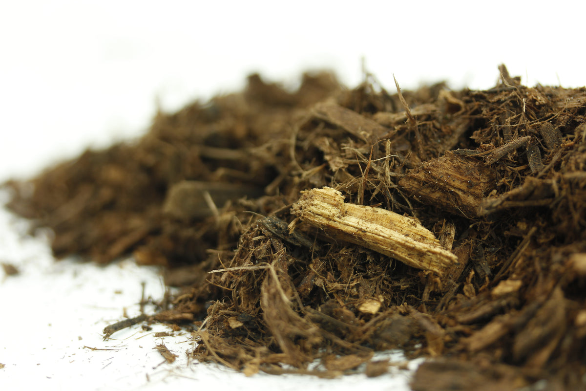 Melaleuca Substrate | One Bioactive Terrarium & Aquarium Supply Experts