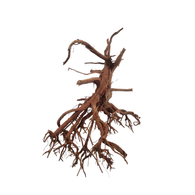 How To Properly Use Coconut Husk Substrate For Your Reptile – One Bioactive