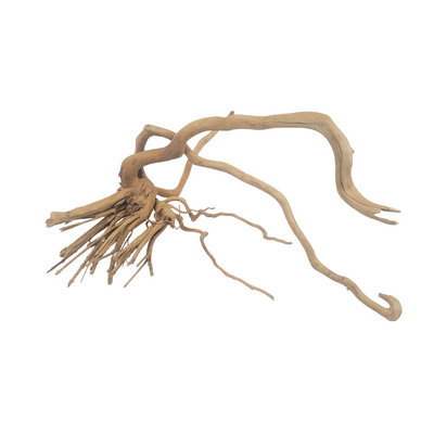 How To Properly Use Coconut Husk Substrate For Your Reptile – One Bioactive