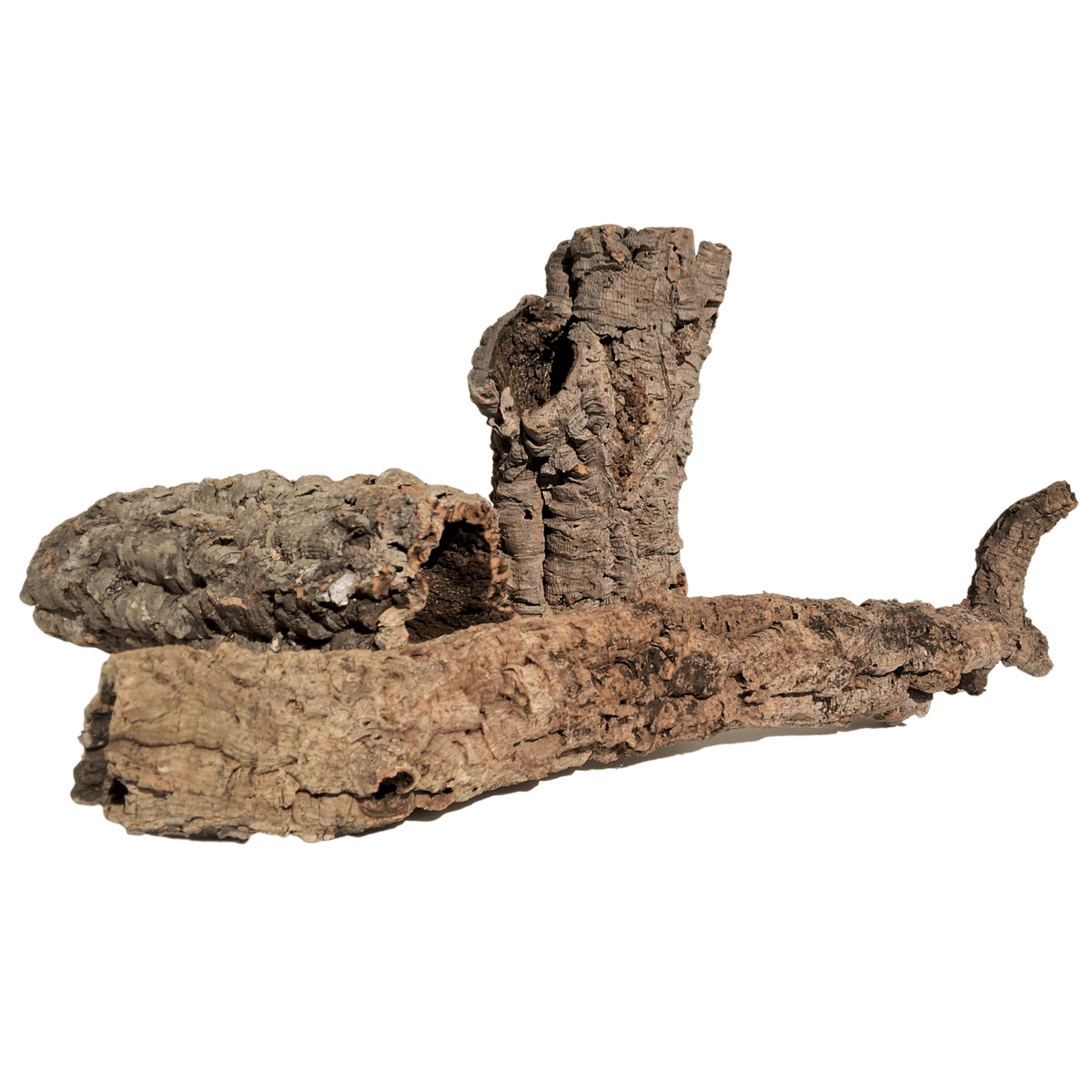 Cork Bark Tubes | One Bioactive Terrarium & Aquarium Supply Experts