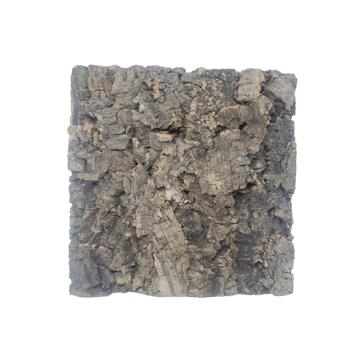 Natural Cork Backgrounds & Tiles | One Bioactive Terrarium & Aquarium ...